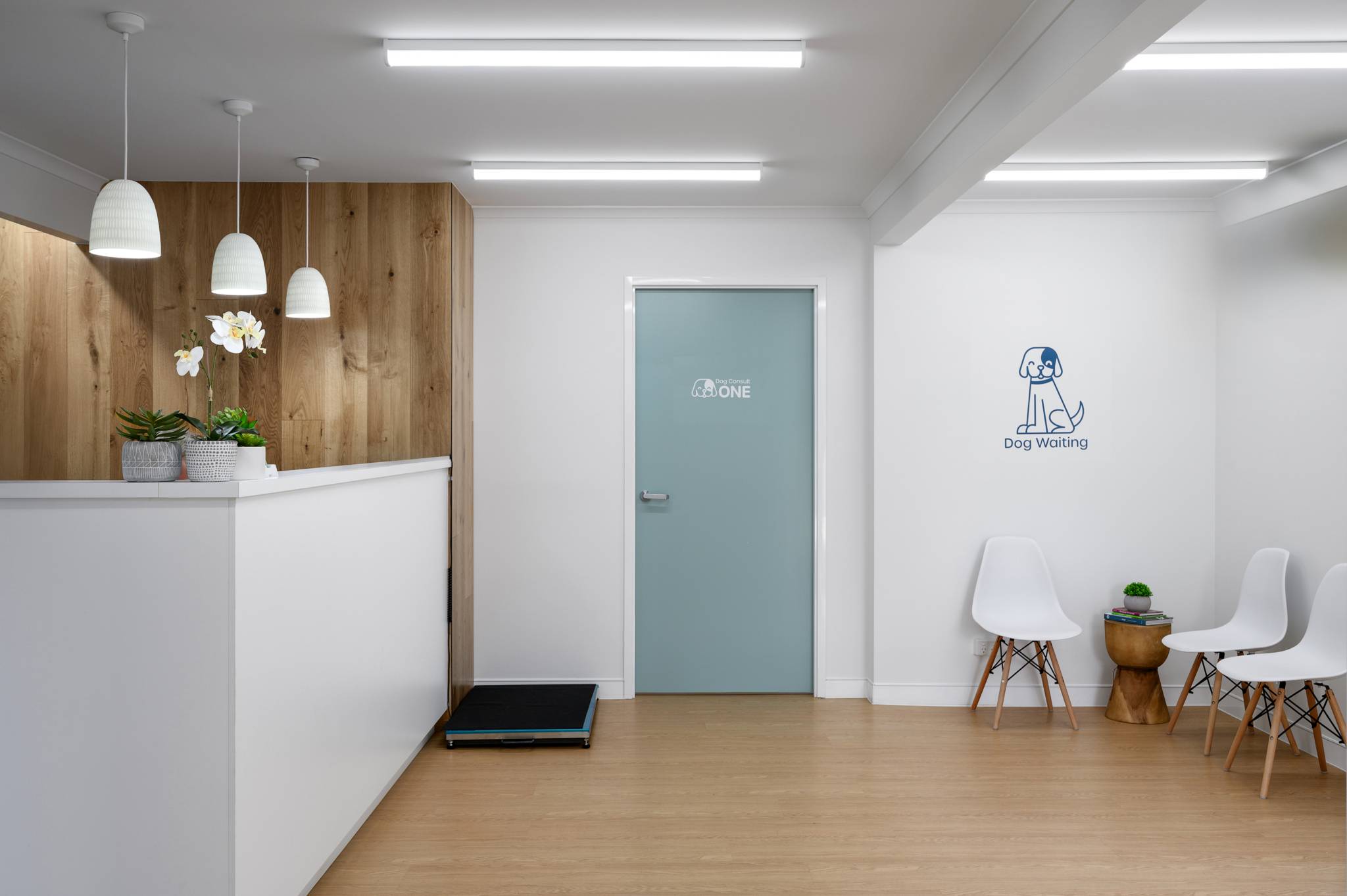 River Road Vet | Cyclo Group