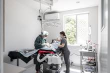 Pack & Clowder Vet | Cyclo Group