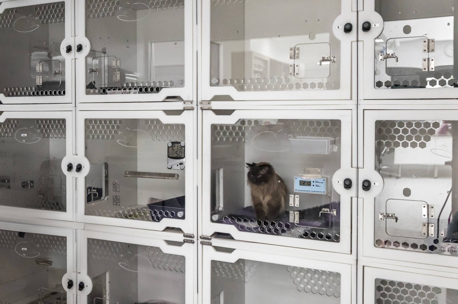 Rochester Veterinary Practice | Cyclo Group